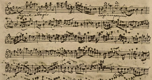 Artinfuser Counterpoint: Analyse counterpoint exercises